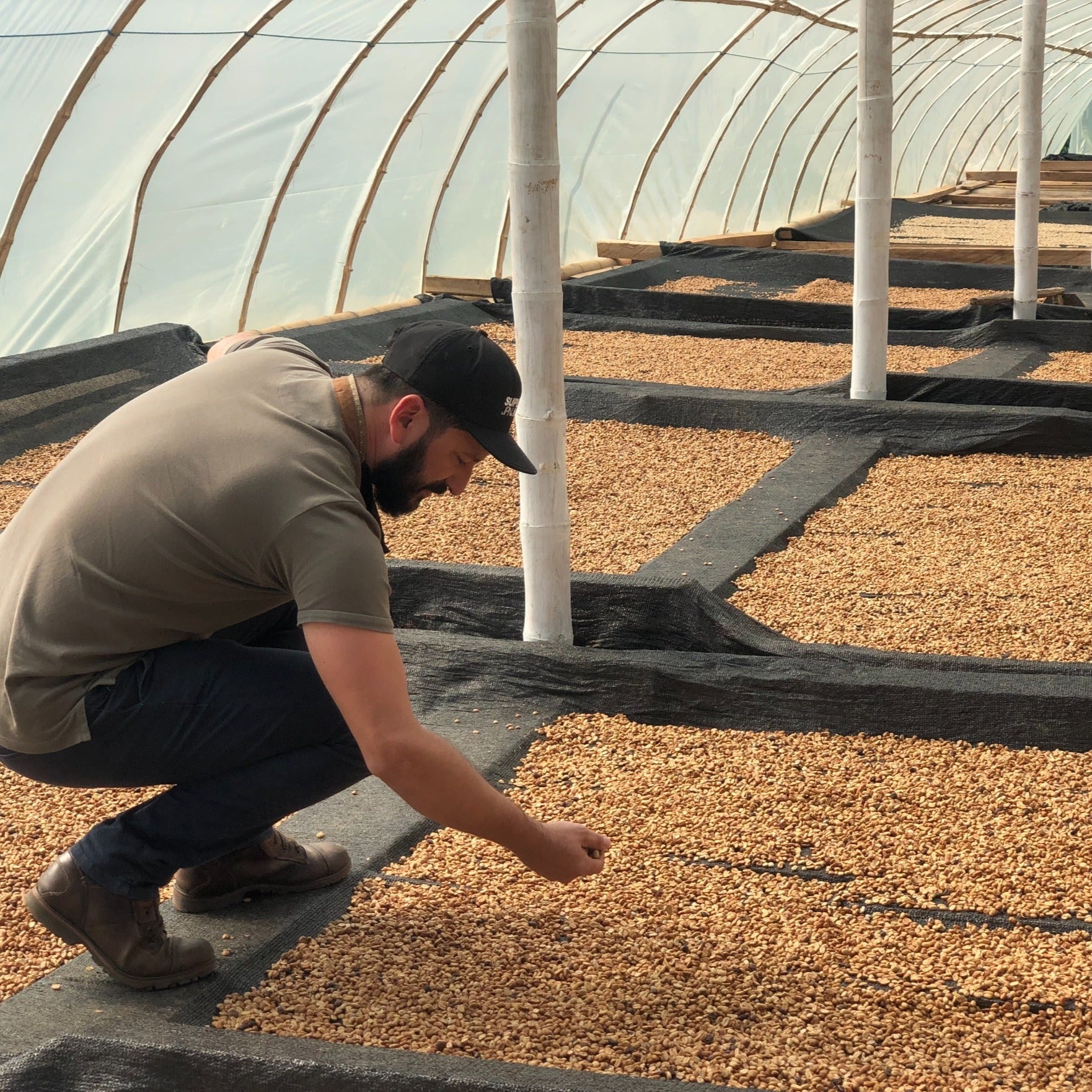 Colombia Finca Milan【Nitro】 – FREAK COFFEE ROASTERS